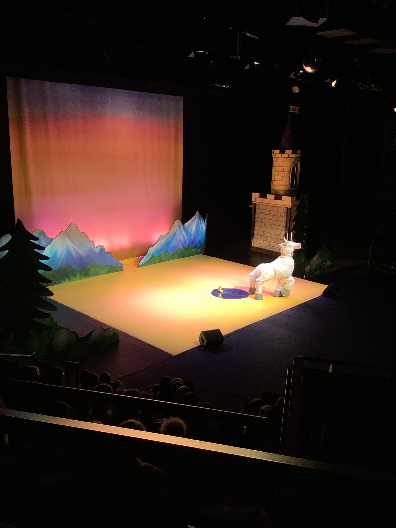 Zog and the Flying Doctors | Park Spring Primary School